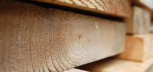 Plain Sawn vs. Quarter Sawn vs. Rift Sawn: What is the Difference?