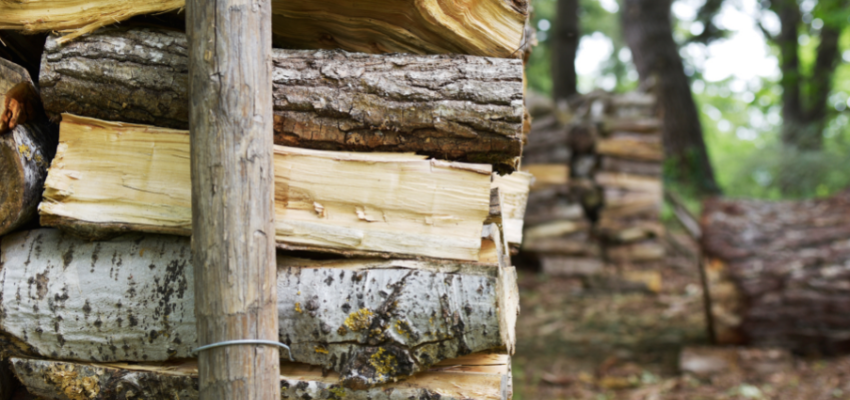 Everything You Need To Know About the Rick of Wood