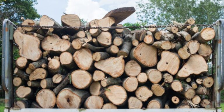 What is Heavy Timber Construction? All You Need To Know