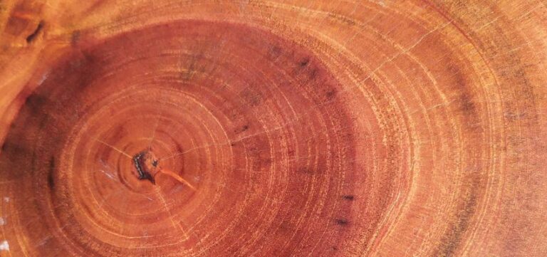 The Most Expensive Woods In The World - USVintageWood.com